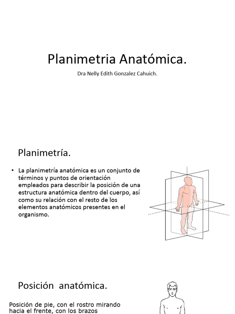 Anatomía | PDF | Términos anatómicos de ubicación | Anatomía