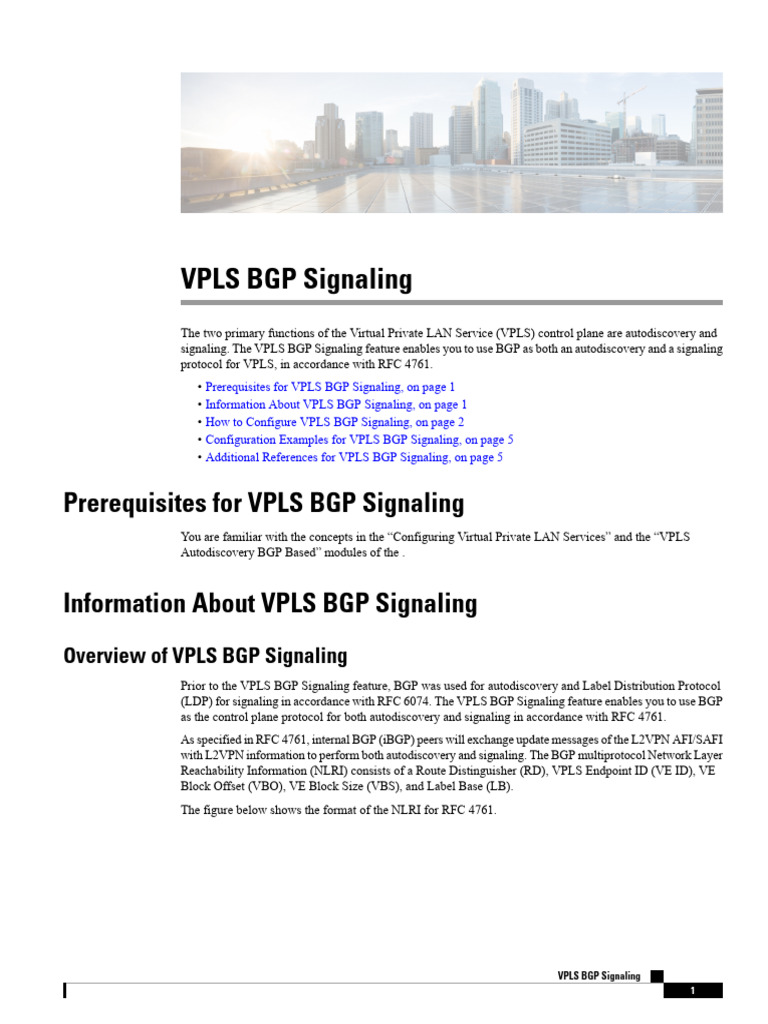 Vpls BGP Signaling | PDF | Computer Architecture | Internet Protocols