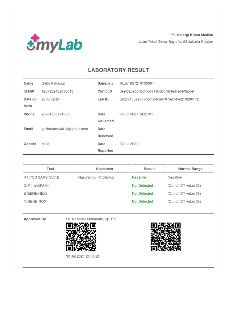 Mylab | PDF