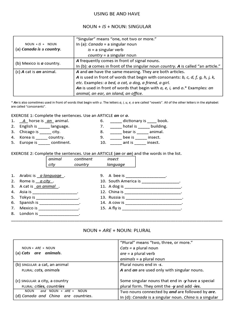 Using Be and Have | PDF | Grammatical Number | Plural
