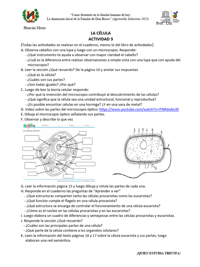 Observación de Células y Microscopios | PDF | Biología Celular ...