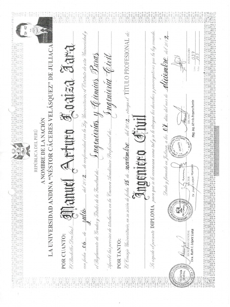 01 - Titulo Profesional Ing. Civil Malj | PDF