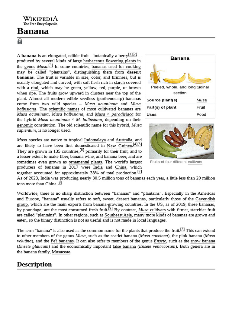 Banana | PDF | Banana | Plants