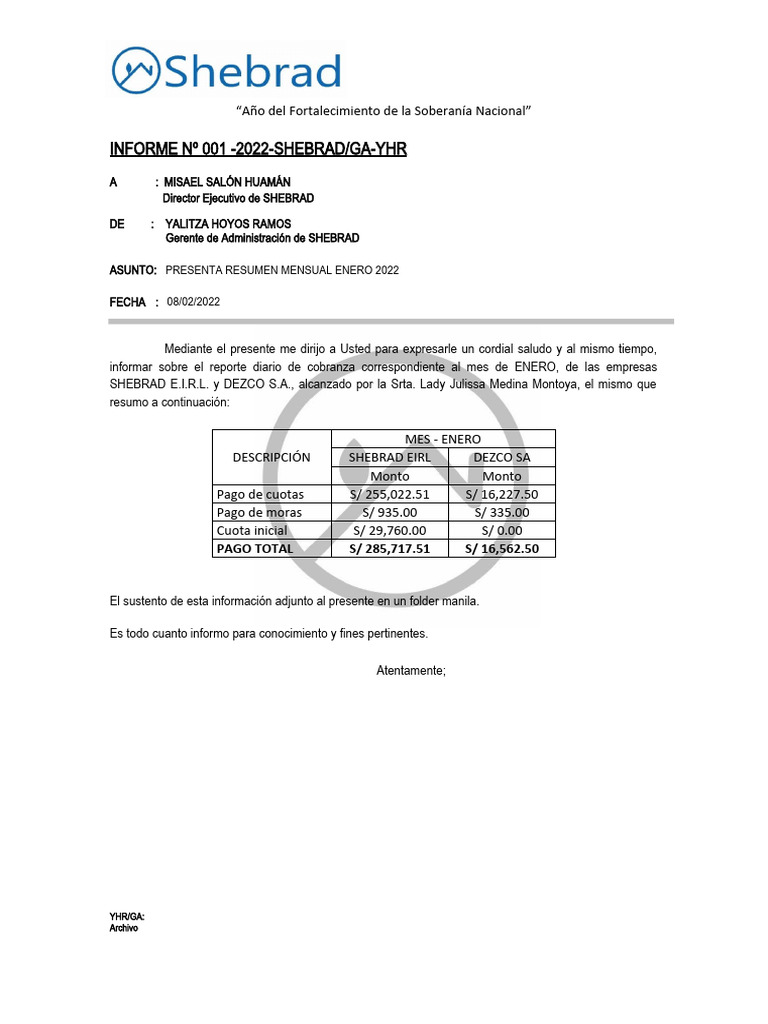 INFORMES | PDF | Informática | Economias