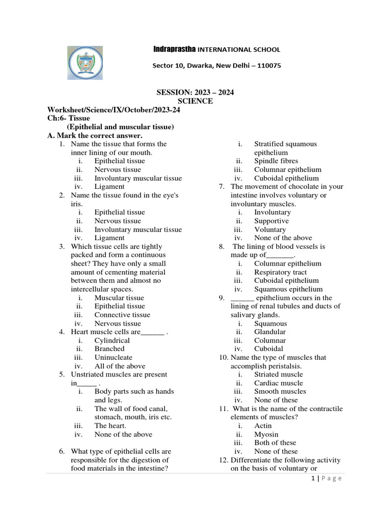 Animal Tissue Epi&Mus Worksheet 1 | PDF | Epithelium | Tissue (Biology)