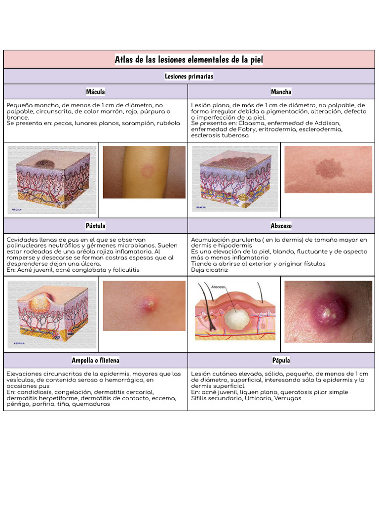 Atlas de lesiones cutáneas elementales | PDF | Piel | Sangre