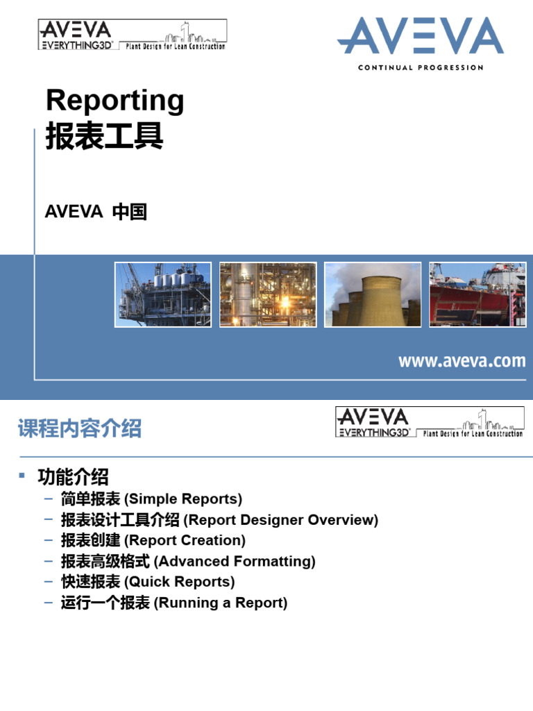 TM-1803 AVEVA Everything3D - (2.1) Reporting (CN) | PDF