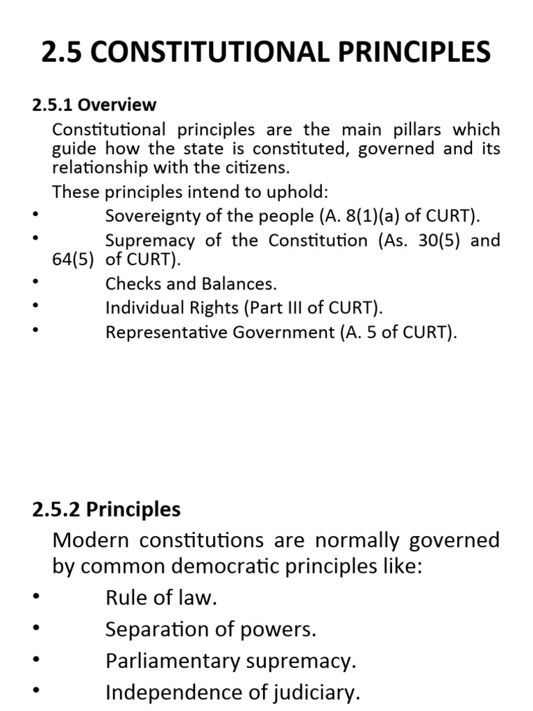 Constitutional Principles Explained | PDF | Separation Of Powers | Rule ...