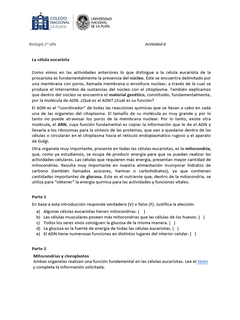 Biología 2do Año - Act 8 | PDF | Citoplasma | Biología Celular)