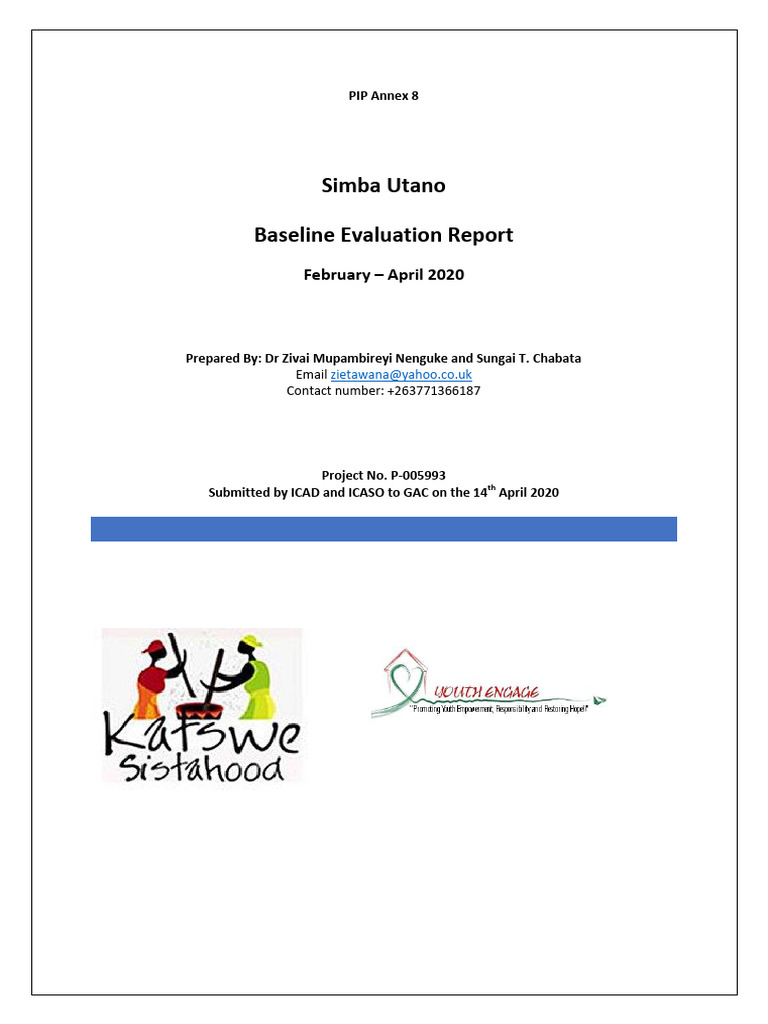 Baseline Evaluation Report | PDF | Hiv/Aids | Domestic Violence
