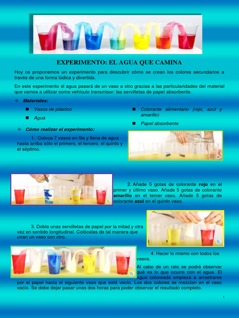 Agua Que Camina Experimento | PDF