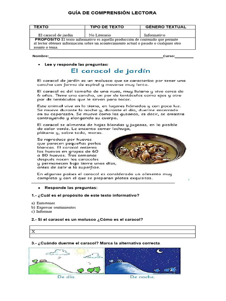 Comprensión Lectora #3 | PDF | Ficción general