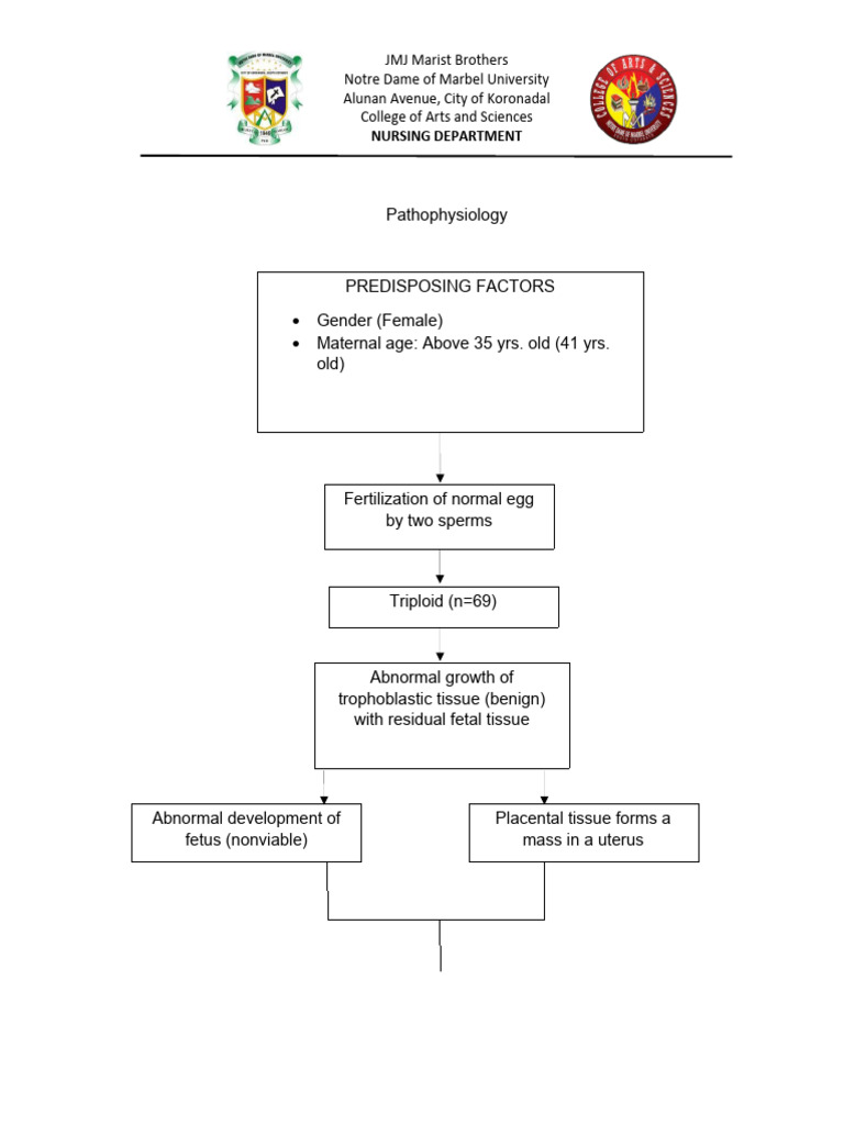 Pathophysiology of H Mole | PDF | Human Chorionic Gonadotropin | Neoplasms