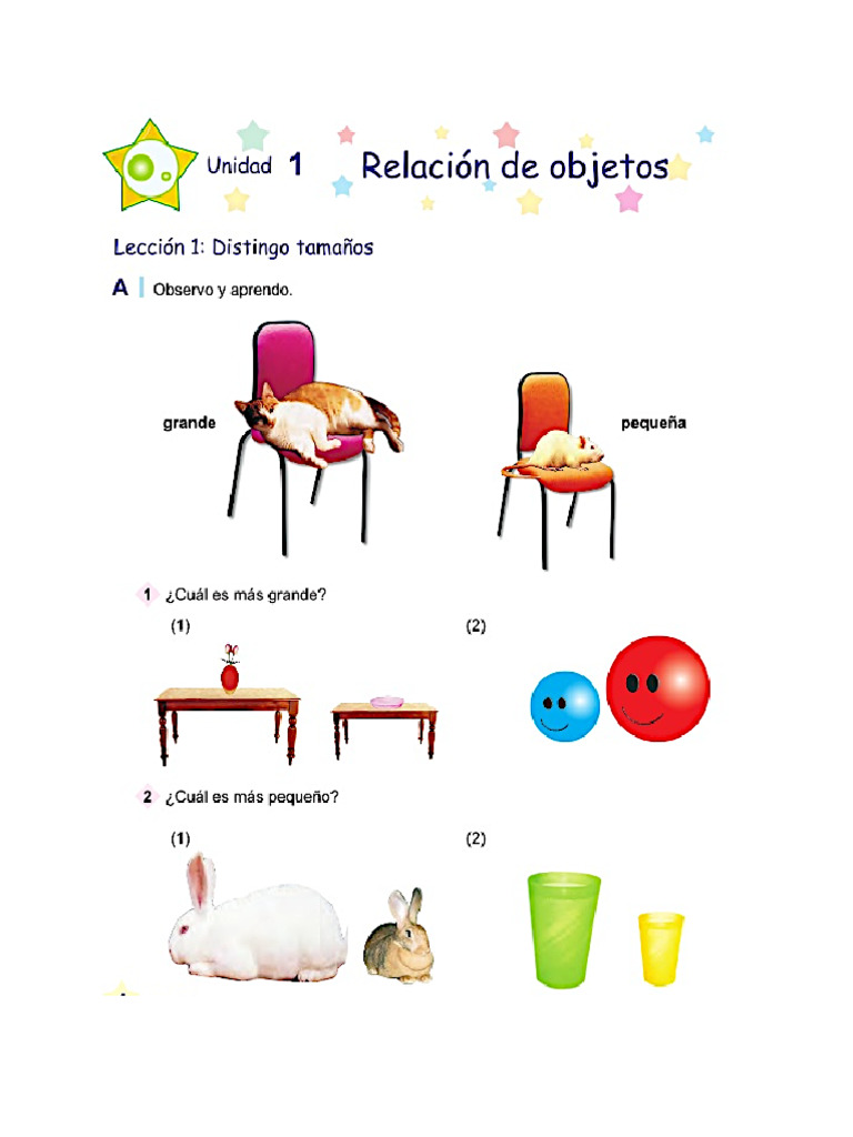 Relación de Objetos | PDF