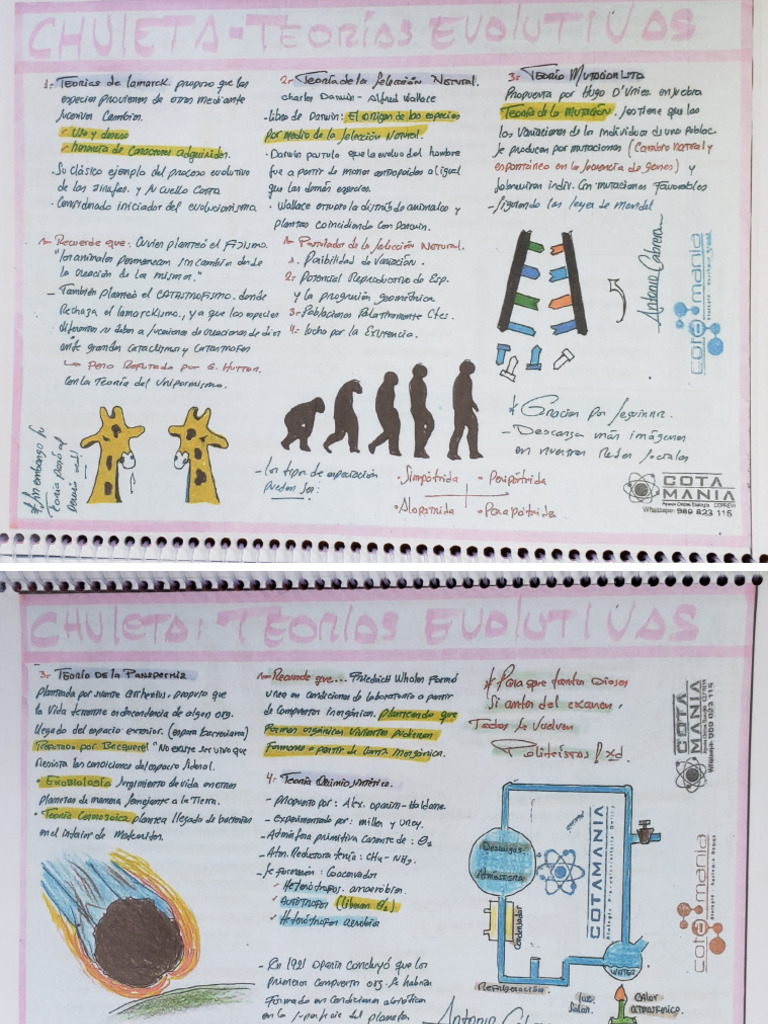 Colección Chuletas Cotamania | PDF