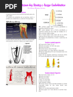 Exodontia de Resto Radicular do Dente 16 | PDF | Anestesia ...
