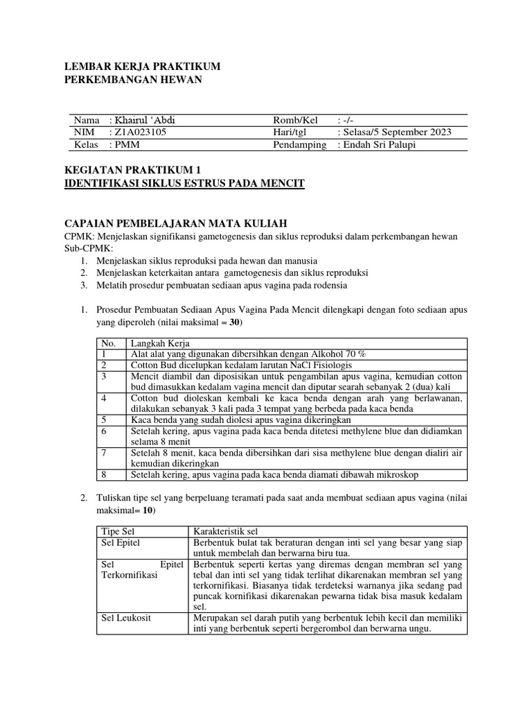 Identifikasi Siklus Estrus Mencit | PDF