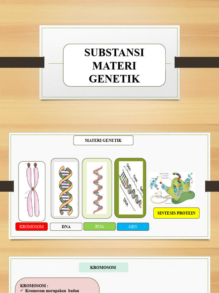 Materi Substansi Genetika Kelas 12 | PDF