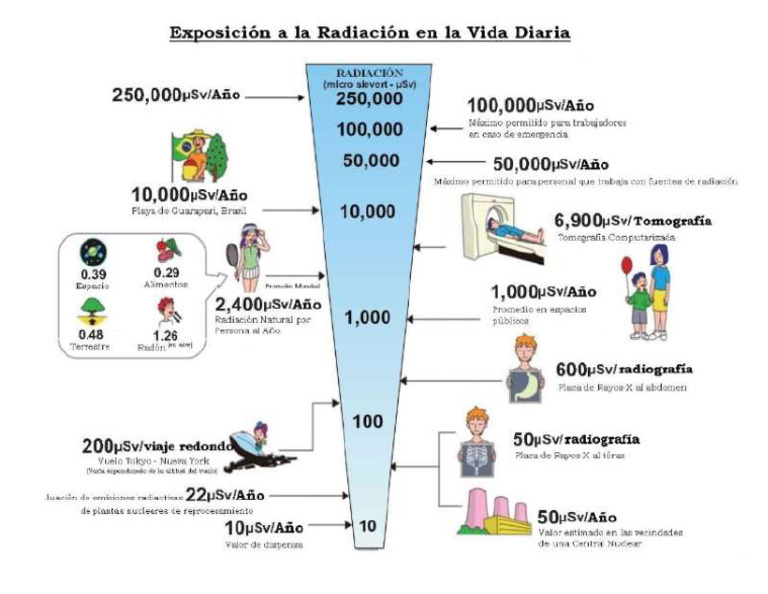 Niveles de Exposicion A La Radiacion | PDF