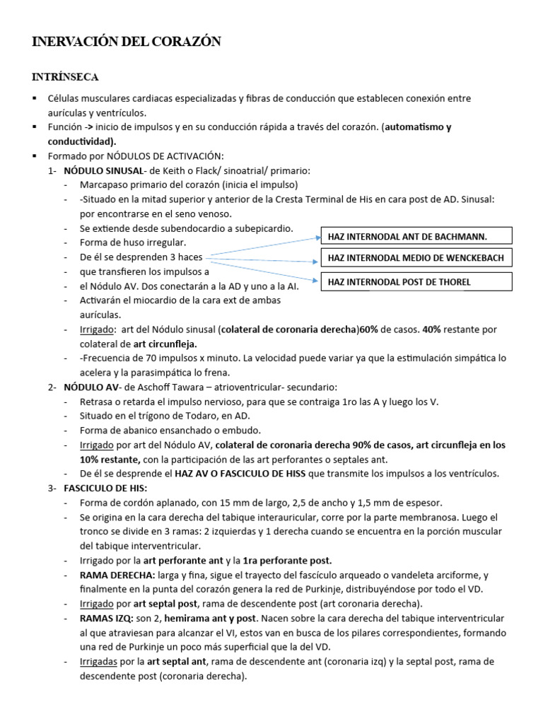 Inervación del Corazón: Intrínseca y Extrínseca | PDF | Corazón ...