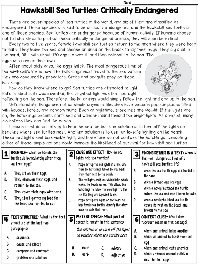 One Solution Is To Turn Off The Lights On Beaches Where Sea Turtles Nest | PDF | Sea Turtle ...