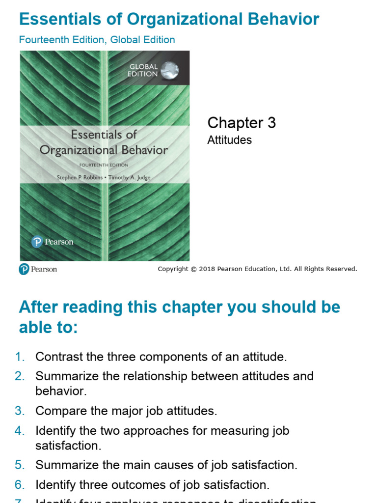 Chapter 3 | PDF | Attitude (Psychology) | Job Satisfaction