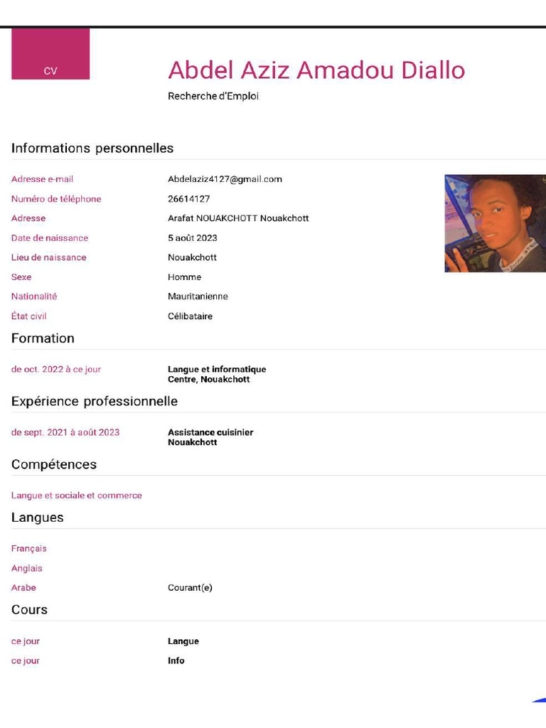 CV Aziz Diallo | PDF