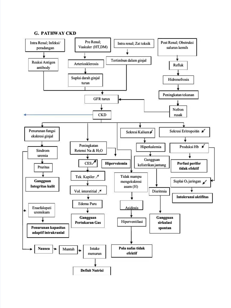PDF Pathway CKD Sdki - Compress | PDF