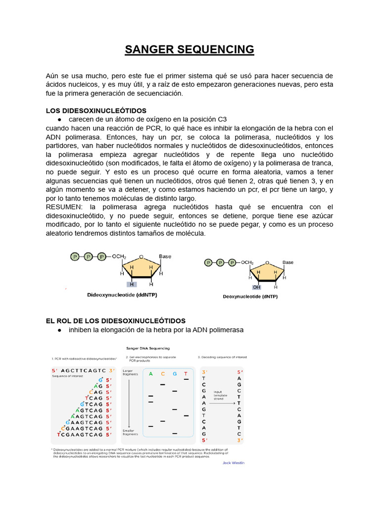 Secuenciación Sanger: Método y Aplicaciones | PDF | Primer (Biología ...