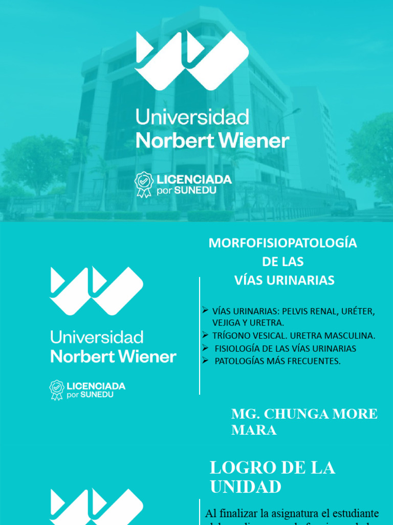 Morfo II Clase 10 Final | PDF