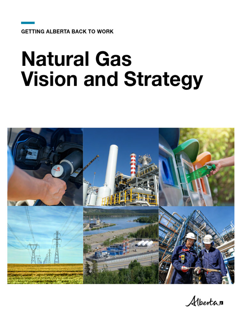 Natural Gas Vision and Strategy | Download Free PDF | Natural Gas | Oil ...