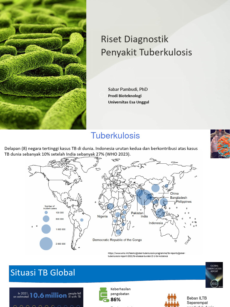 The Beauty and Complexity of Tuberculosis | PDF | Sains & Matematika