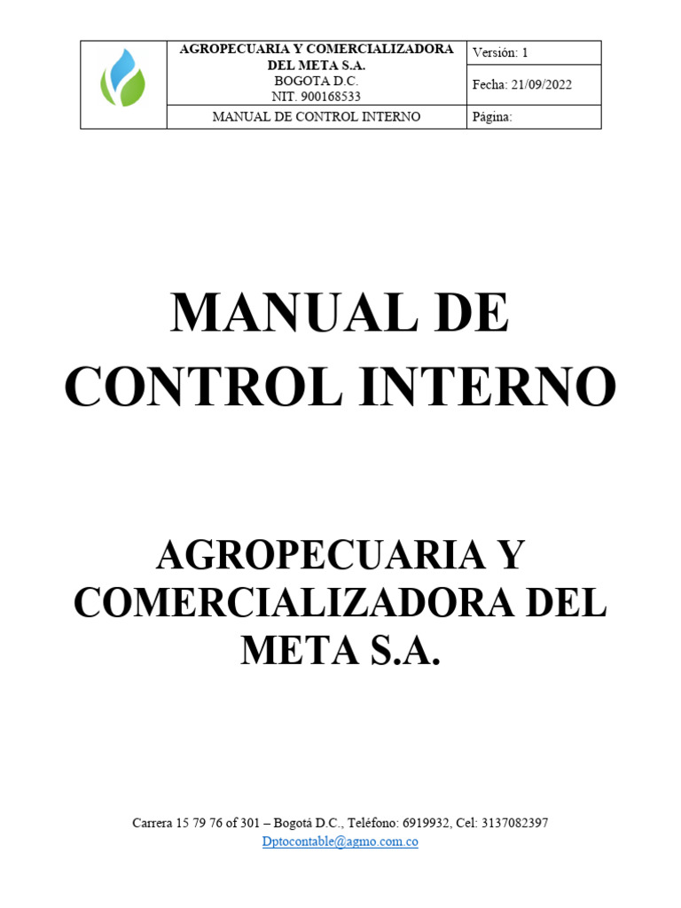 Manual de Control Interno | PDF | Contabilidad | Auditoría