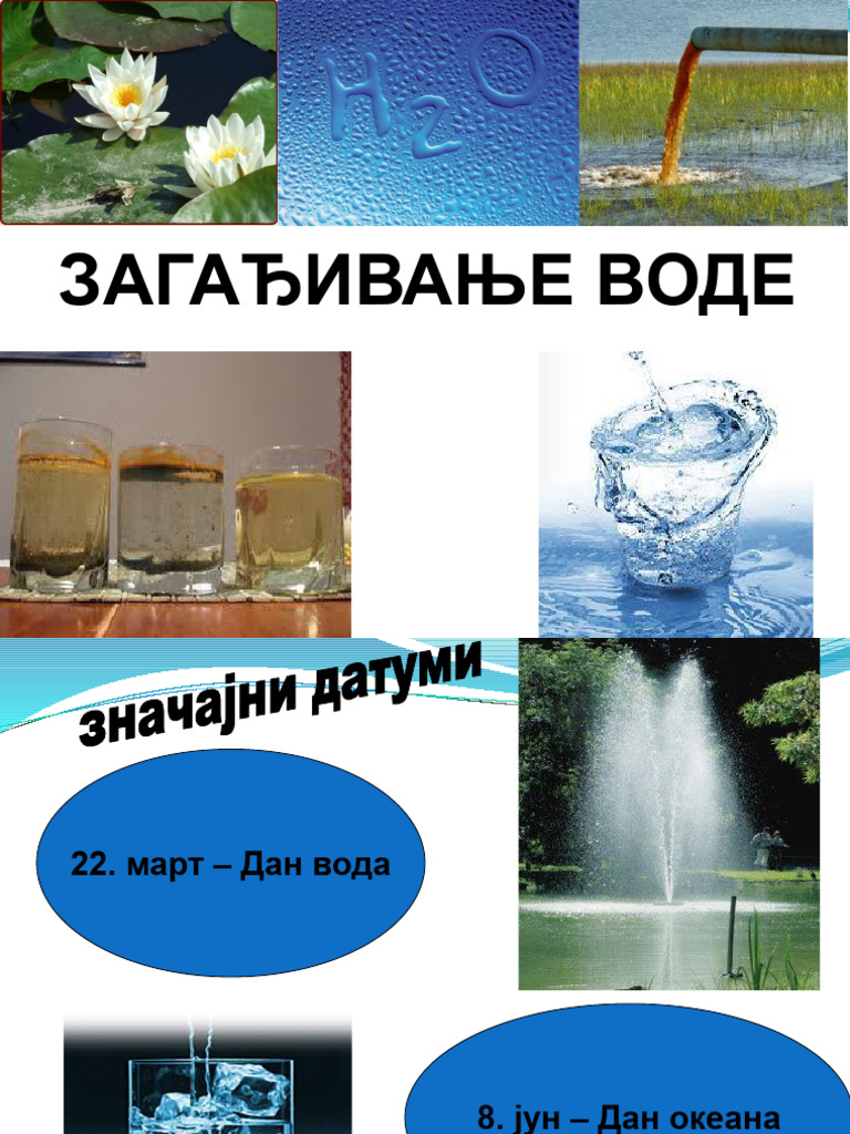 BBB IV Predavanje IZUZS 2021 | PDF