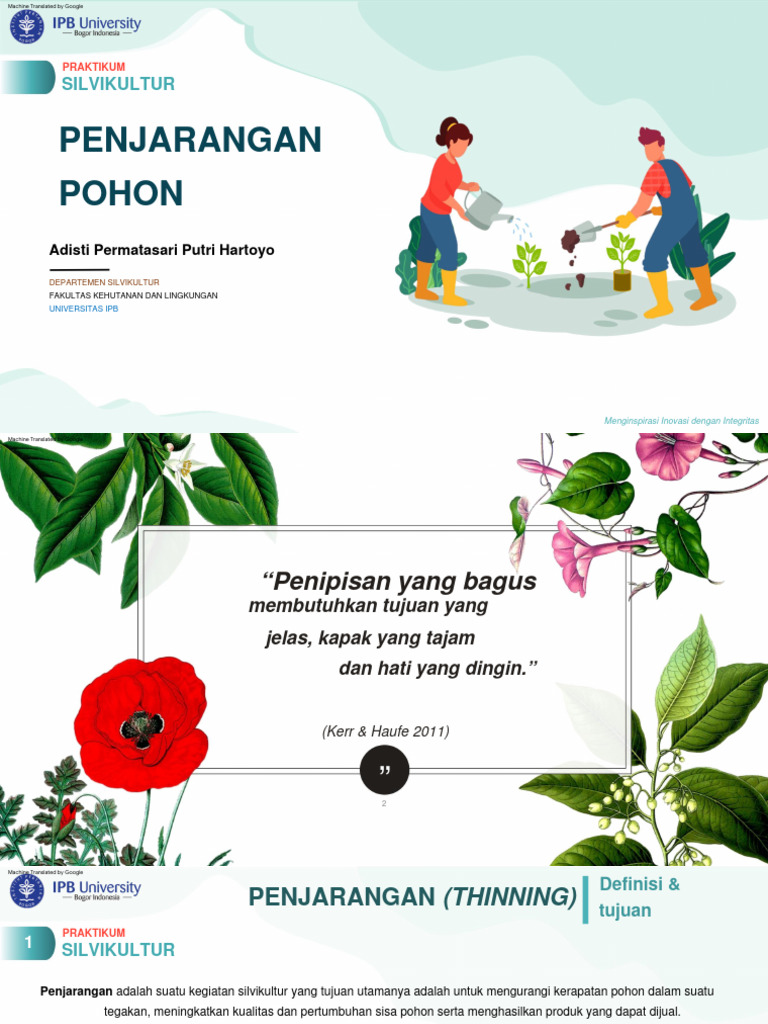 Tujuan dan Metode Penjarangan Pohon | PDF