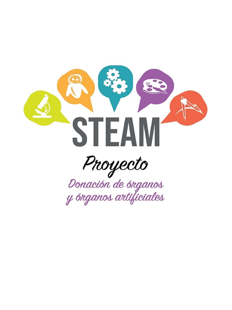 Estructura Del Proyecto Steam | PDF | Automatización