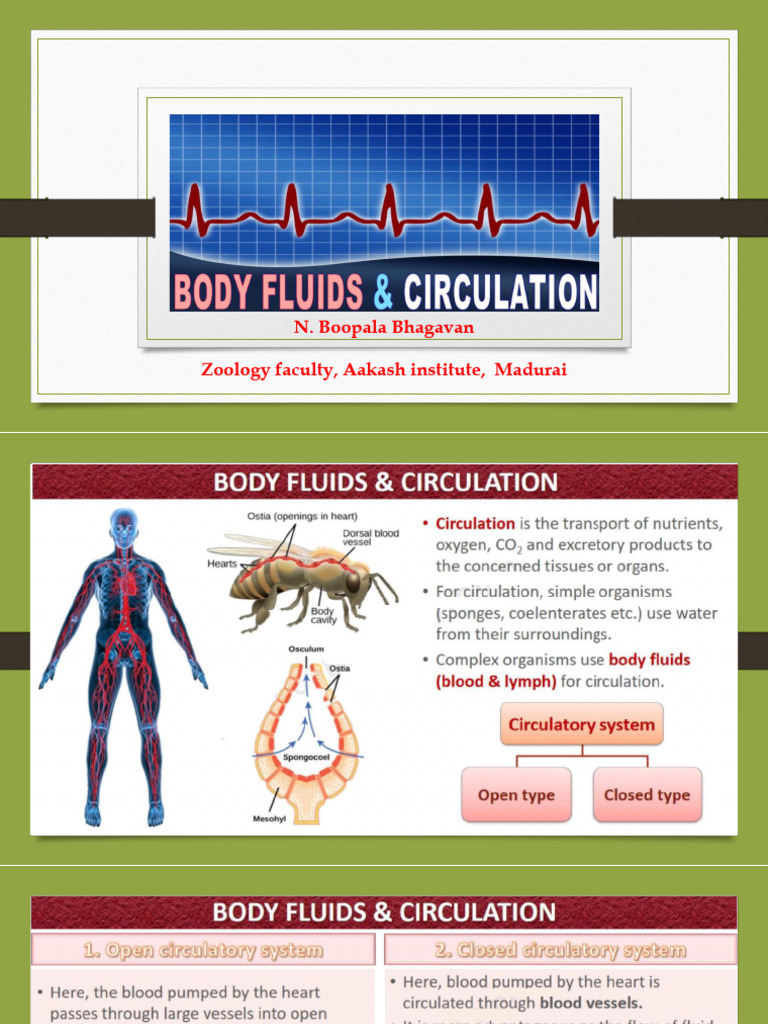 Bodyfluids and Its Circulation | PDF