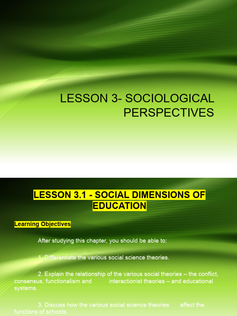 Lesson 3 - Sociological Perspectives | PDF | Sociology | Institution