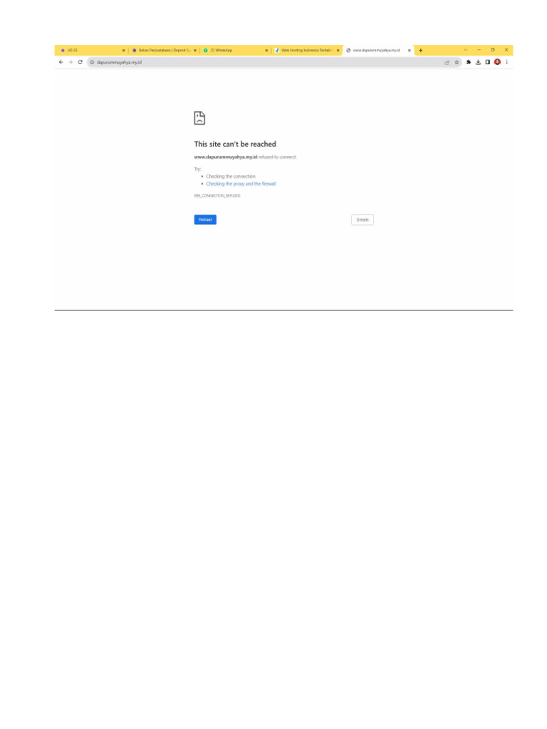 SS Hosting Exp | PDF