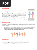 Términos de Lateralidad en Anatomía | PDF | Términos anatómicos de ...