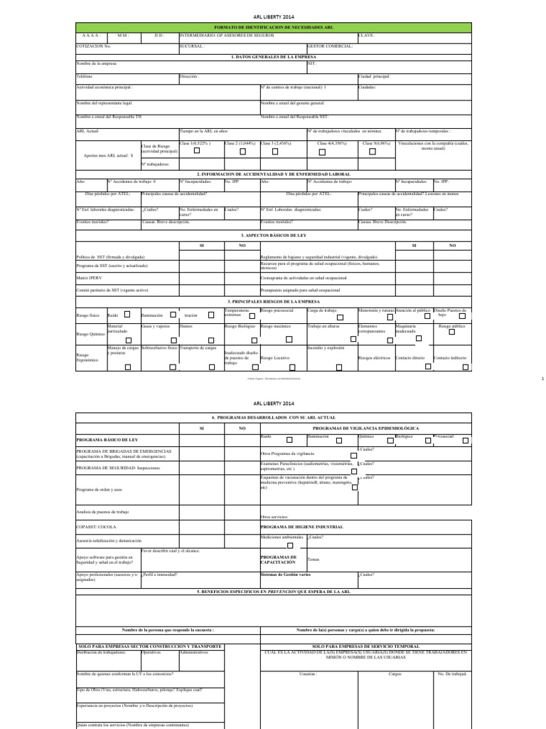 Formato - Identificacion de Necesidades en Arl | PDF | Seguridad y salud ocupacional
