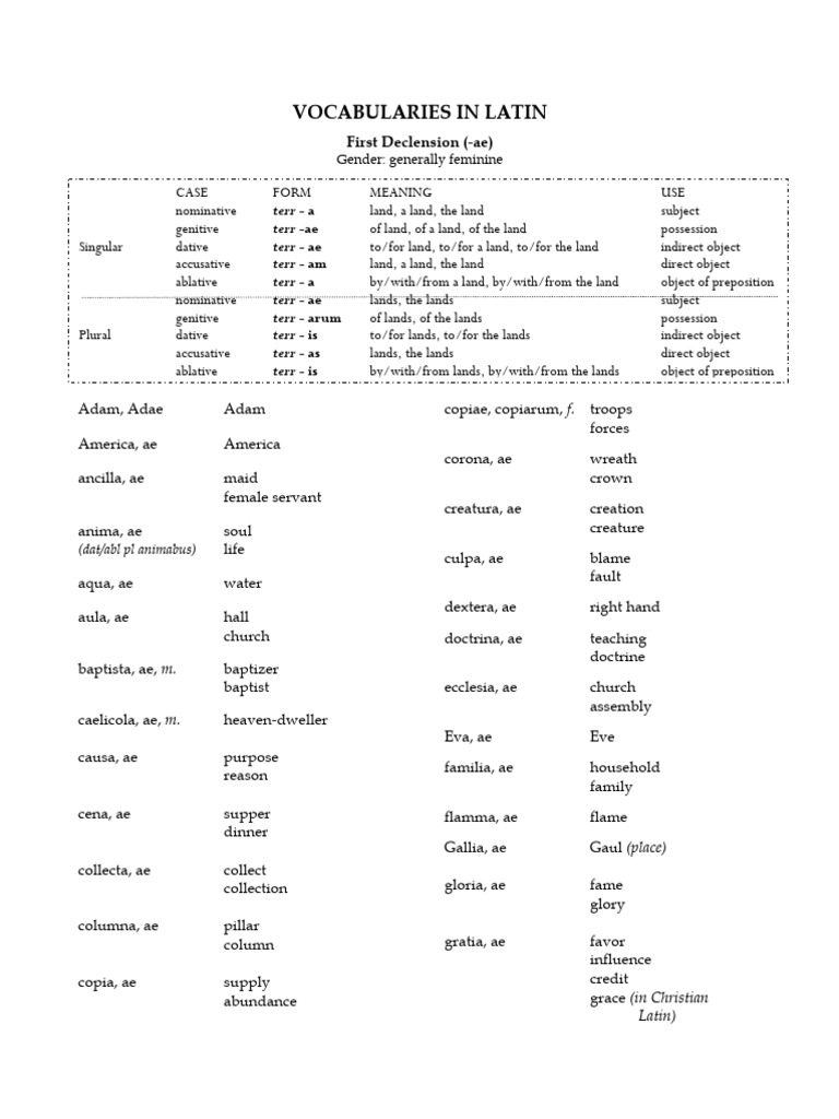 Vocab in Latin | PDF | Syntax | Syntactic Relationships