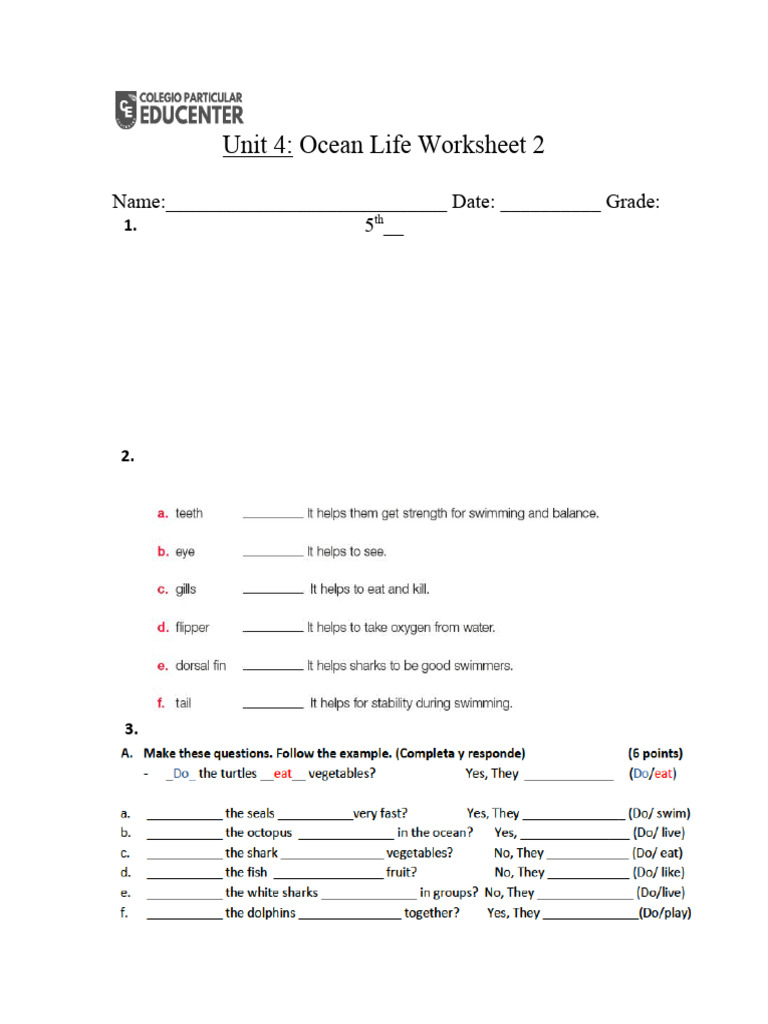 5º Unit 4 Ocean Life Worksheet 2 | PDF | Science & Mathematics