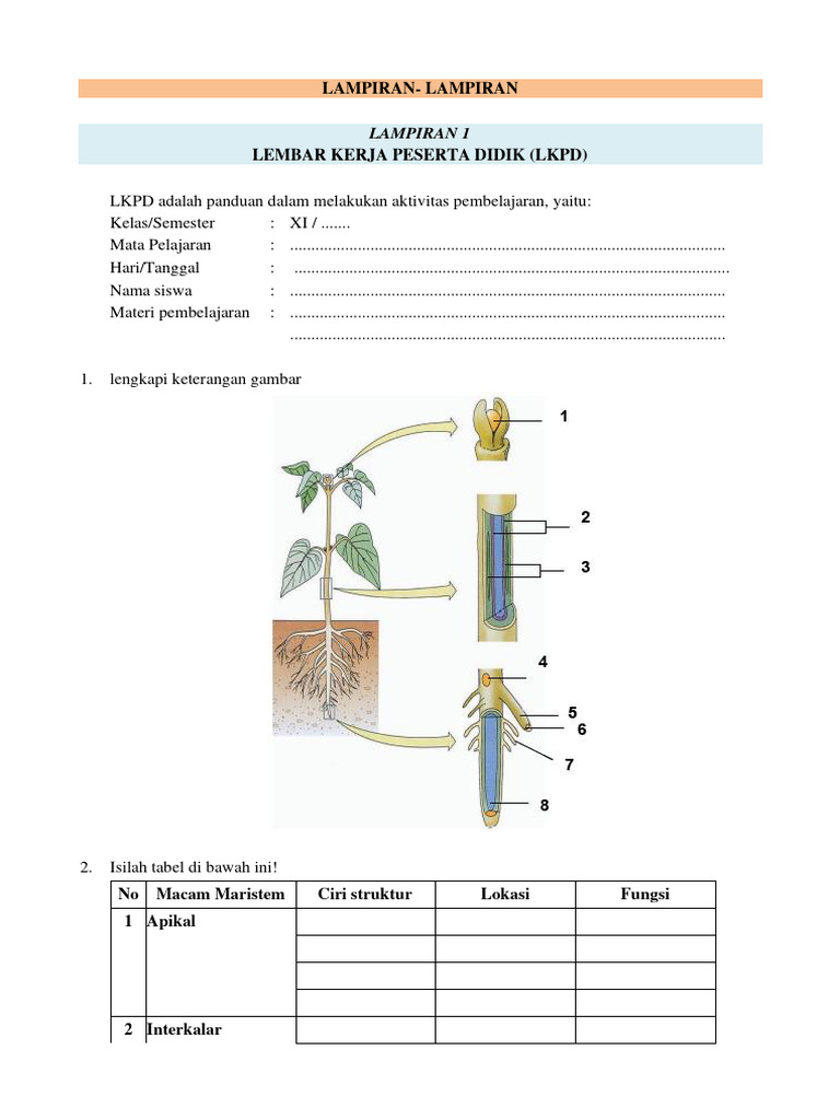 Jaringan Tumbuhan | PDF | Griya & Taman | Kesehatan Holistik