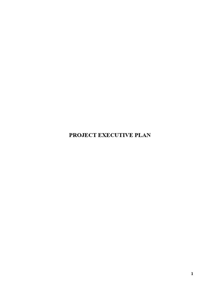A. Project Execution Plan | PDF | Occupational Safety And Health | Risk