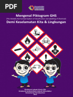Piktogram GHS | PDF