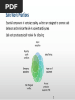 ERT Organizational Structure Overview | PDF