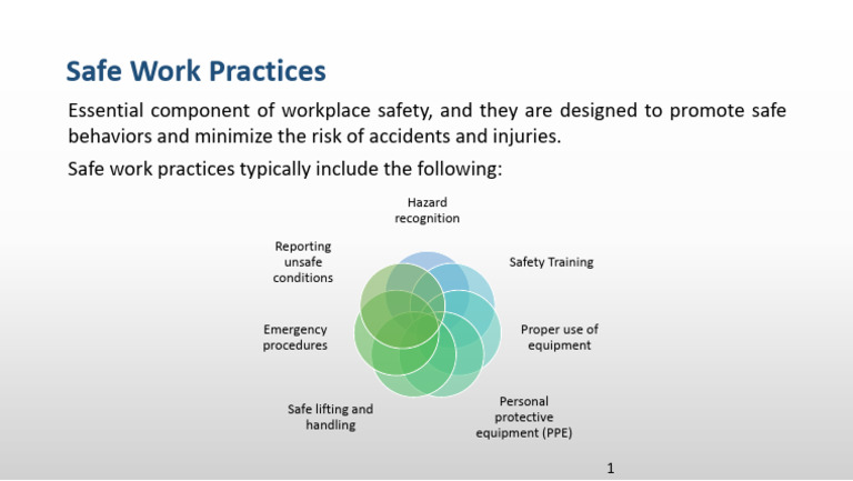 Safe Work Practices Overview | PDF