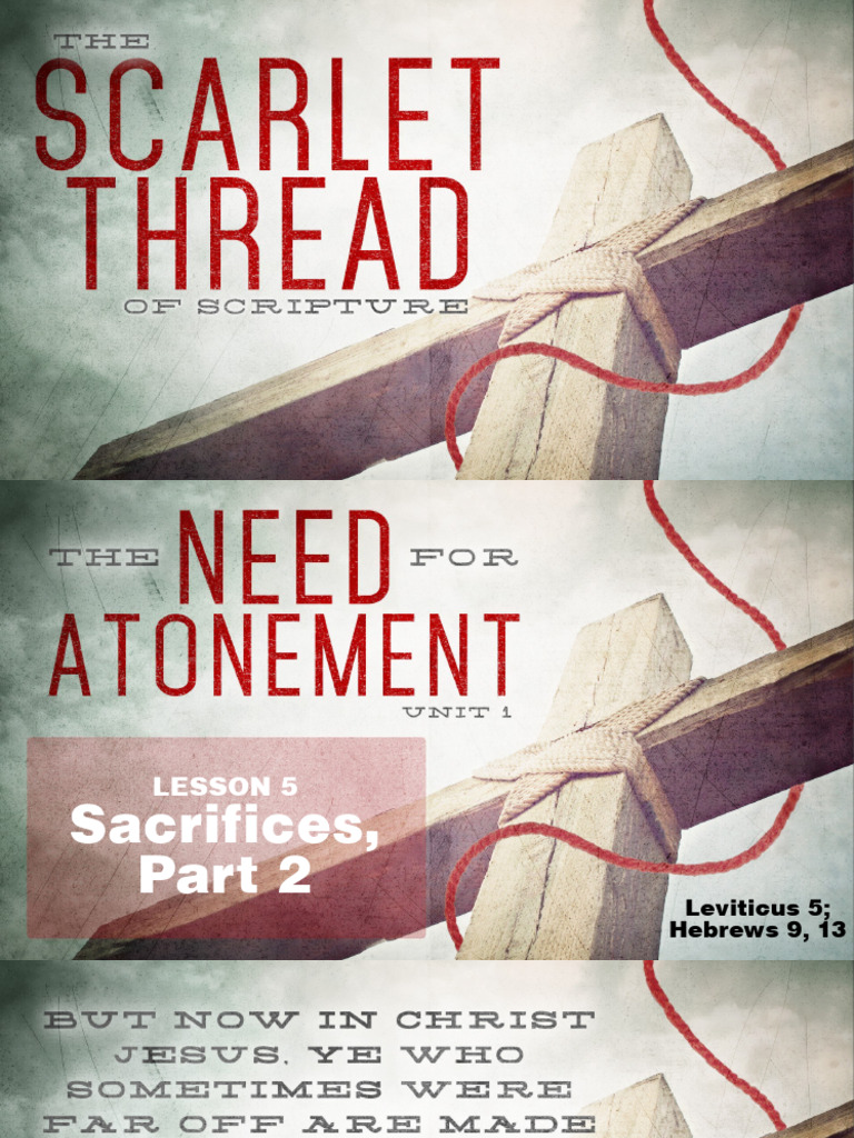 Sts Lesson 5 | PDF | Book Of Leviticus | Sacrifice