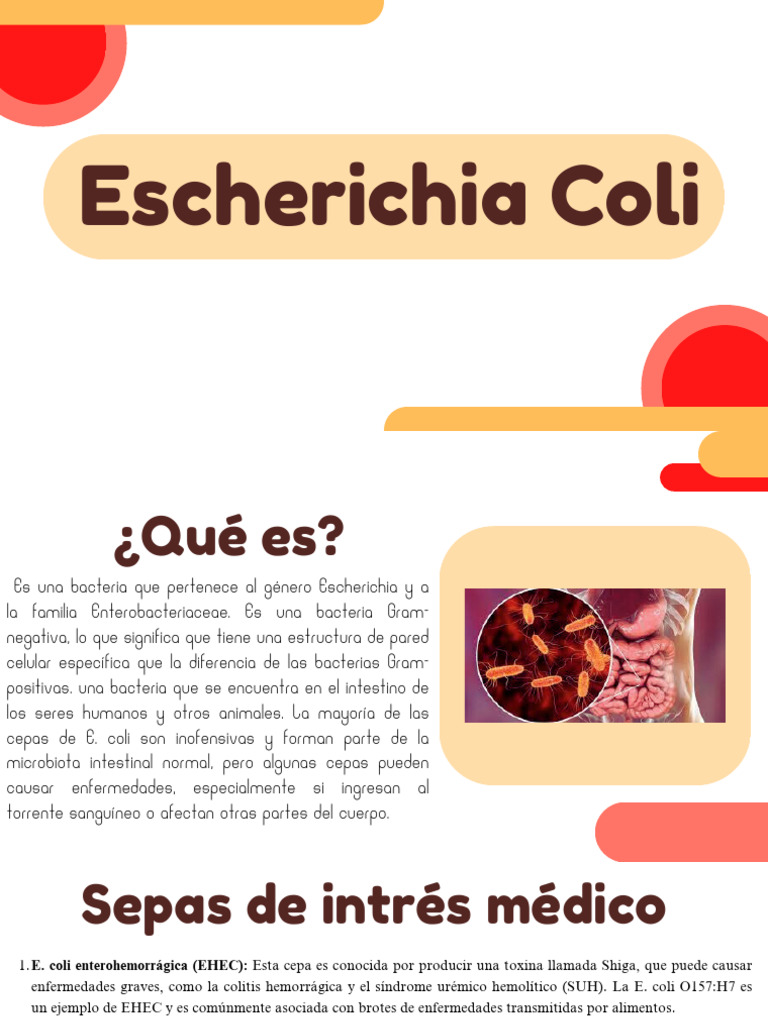 Escherichia Coli | PDF | Escherichia coli | Microbiología